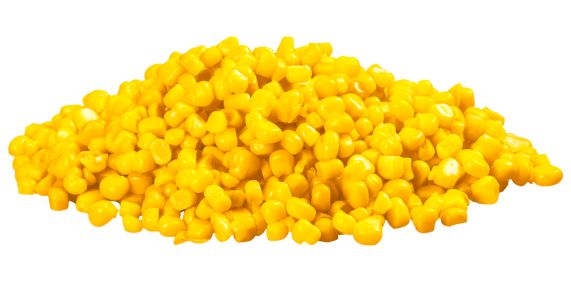 Trout Like Corn: Here’s Why and How to Use It for Fishing - Fishing Zenith