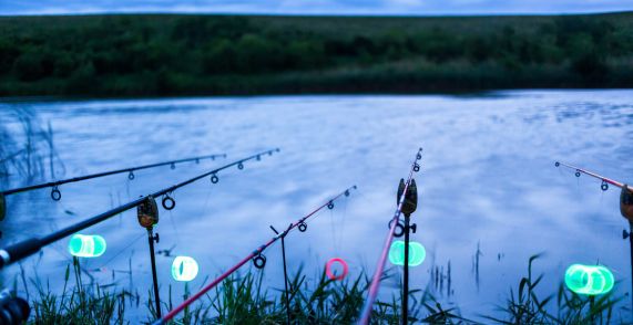 Why The Trout Aren’t Biting – 7 Tips for Better Success - Fishing Zenith