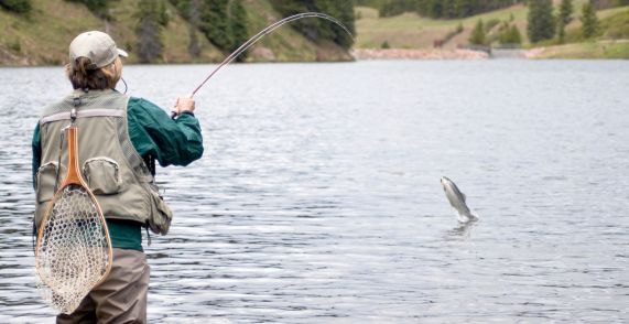 Why Do Rainbow Trout Jump Out of the Water? - Fishing Zenith